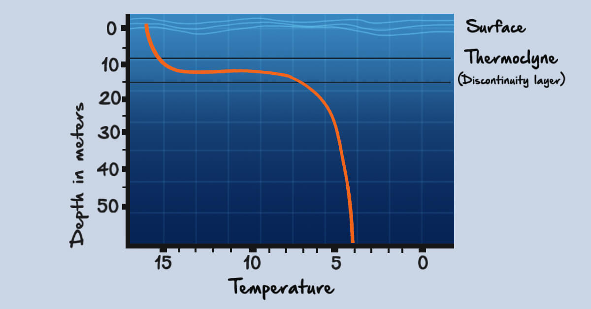 How to buy the perfect wetsuit - the big wetsuit buying guide - Custom ...
